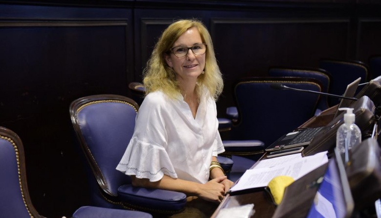 Padulo: “Si las leyes que escribimos no se transforman en algo real no ...